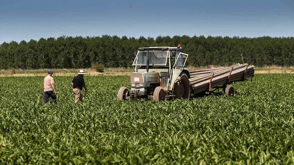 ¿Disponible para trabajar en el campo? Se necesitan Peones Agrícolas ...