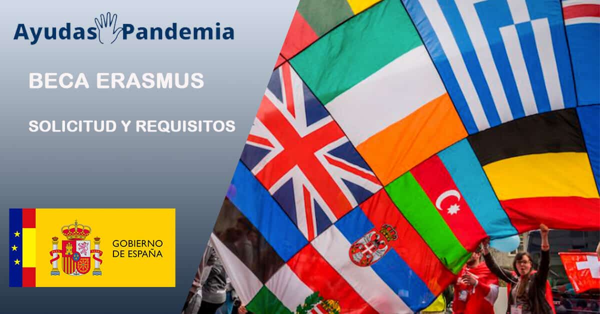 ¿Cómo solicitar la beca Erasmus? Requisitos